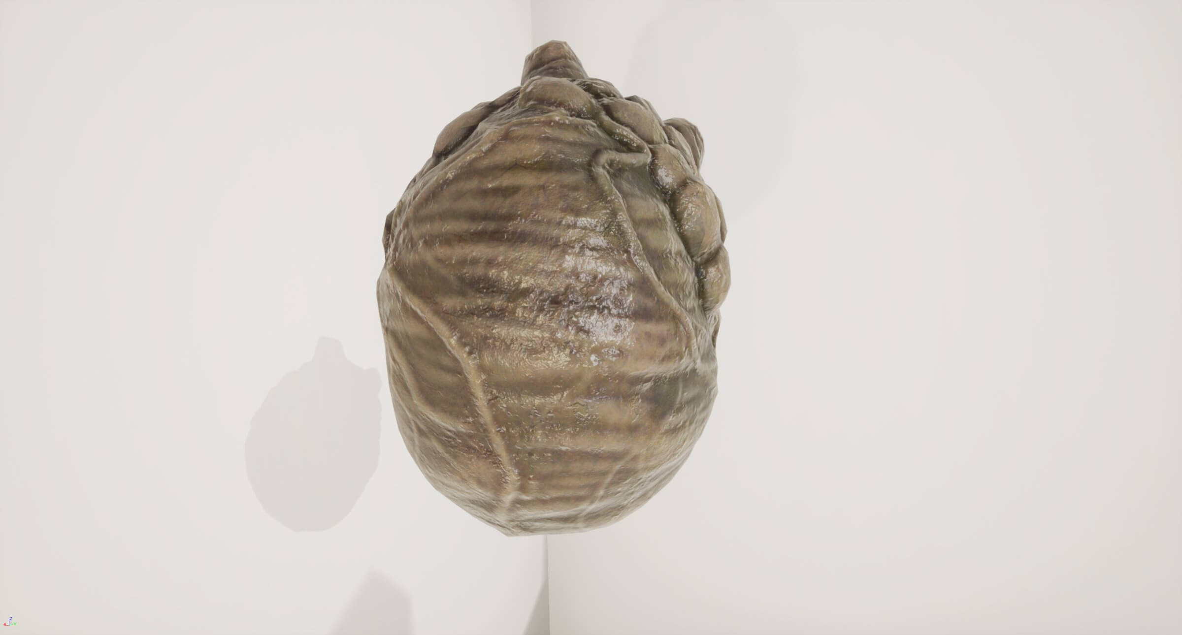 Alien Organ - Free 3D Model by Dpotatoes