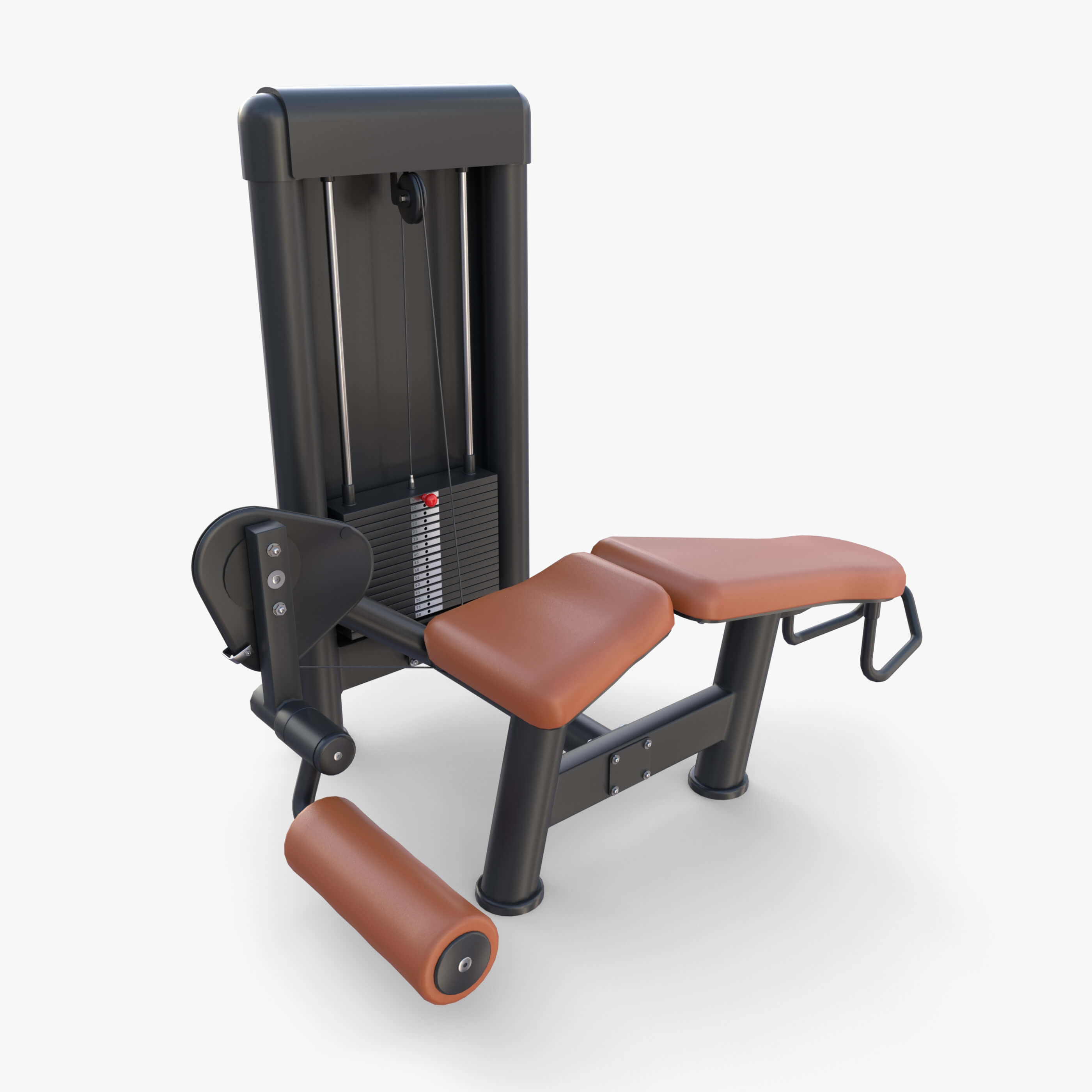 Leg Curl Machine - 3D Model by dragosburian