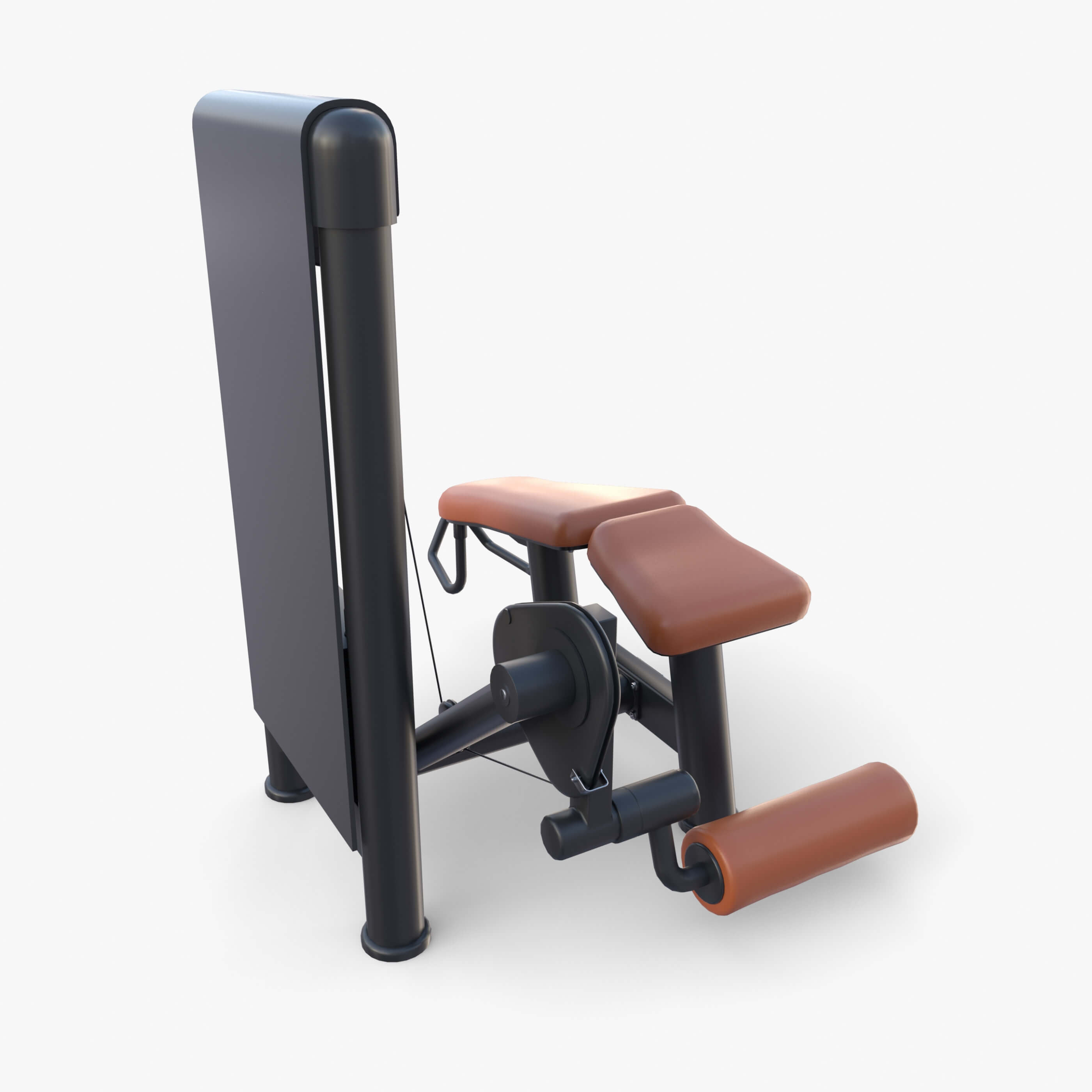 Leg Curl Machine - 3D Model by dragosburian