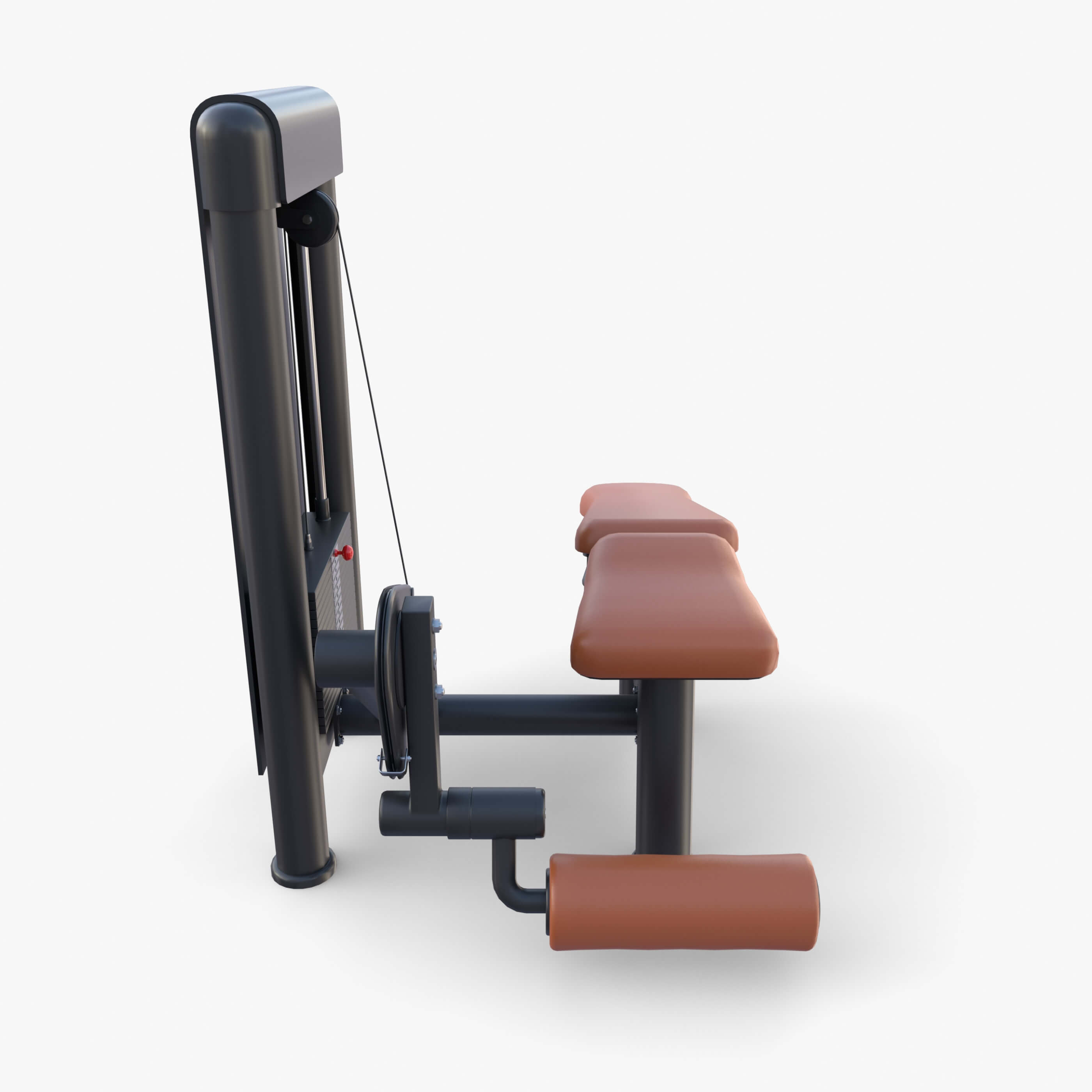 Leg Curl Machine - 3D Model by dragosburian