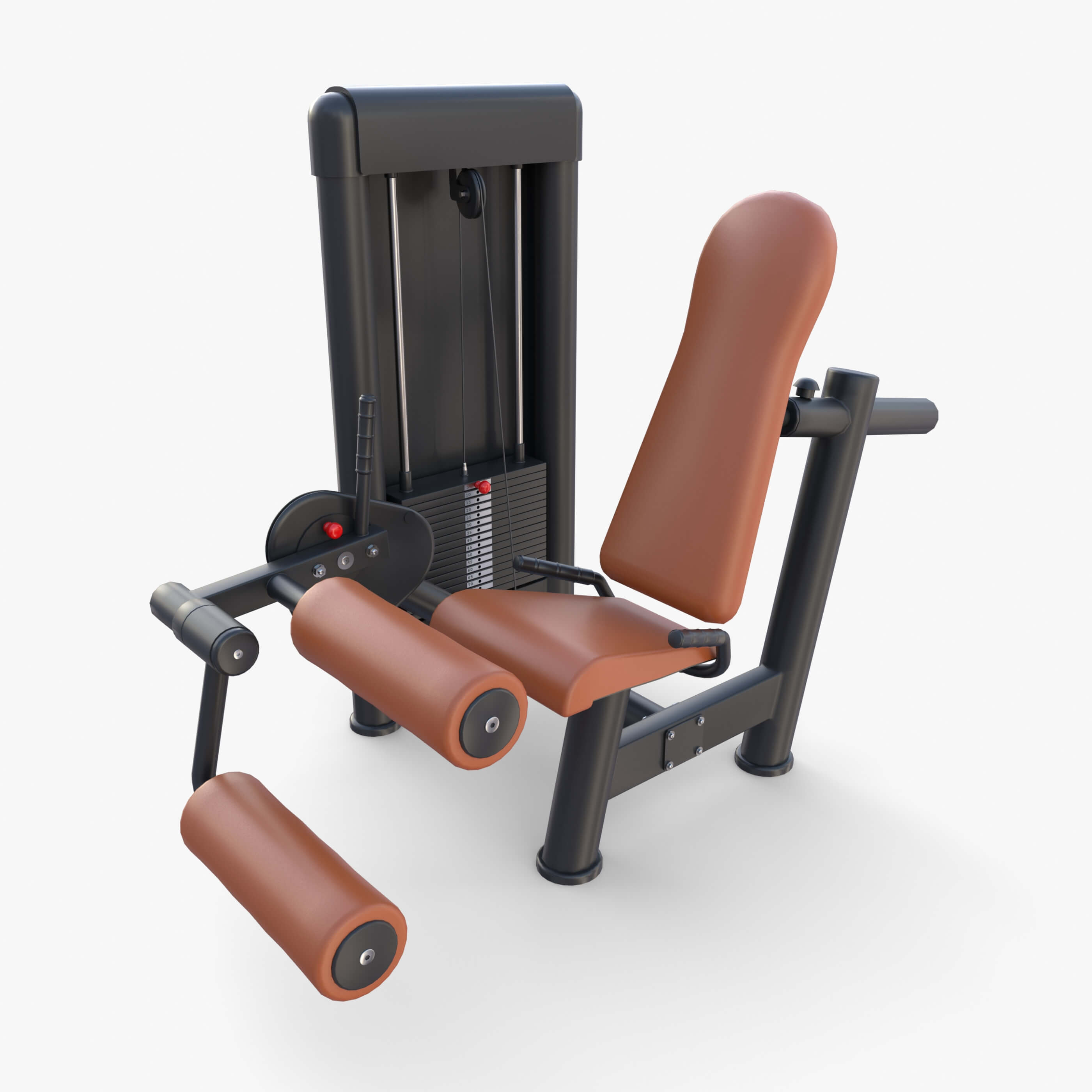 Leg Curling Machine - 3D Model by dragosburian