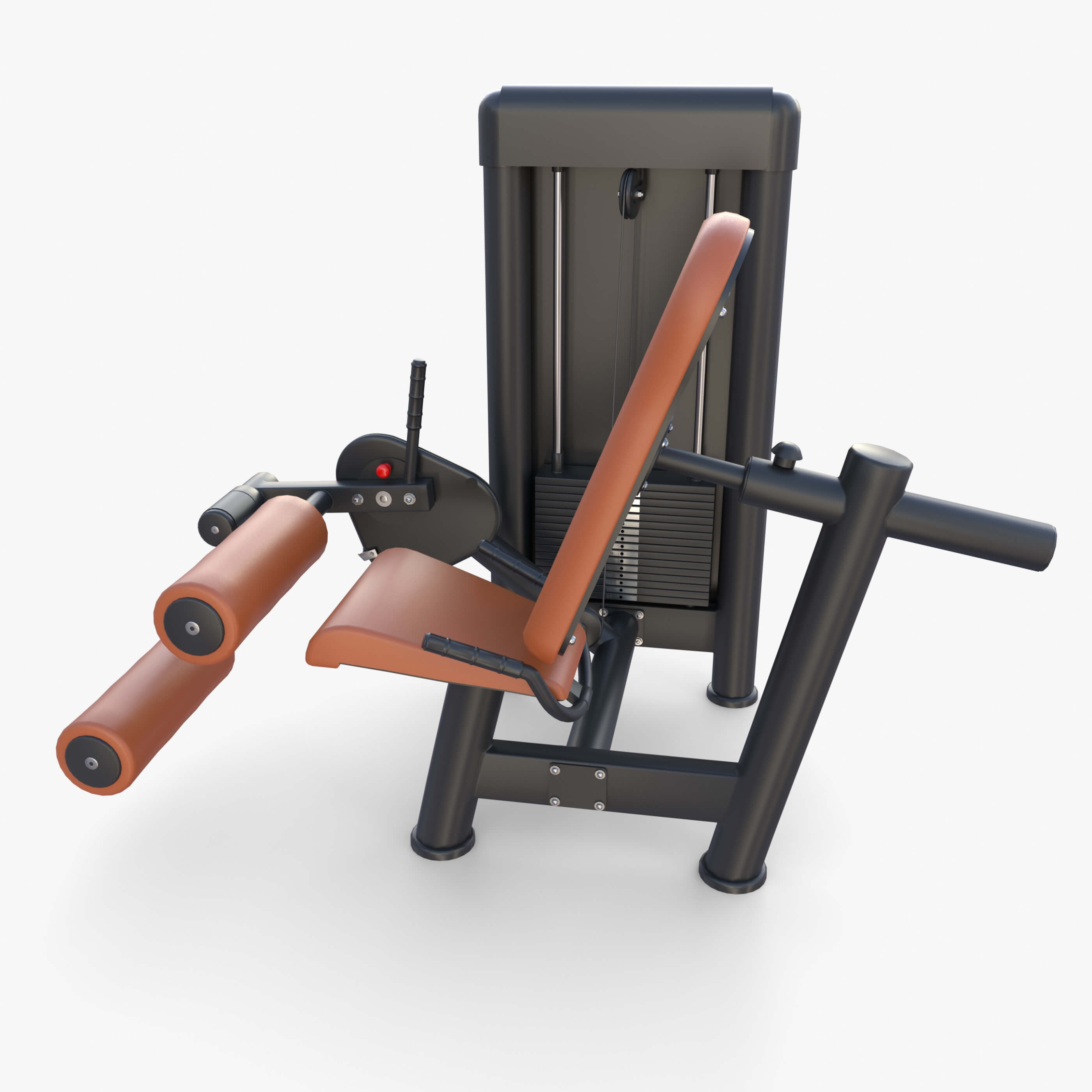Leg Curling Machine - 3D Model by dragosburian