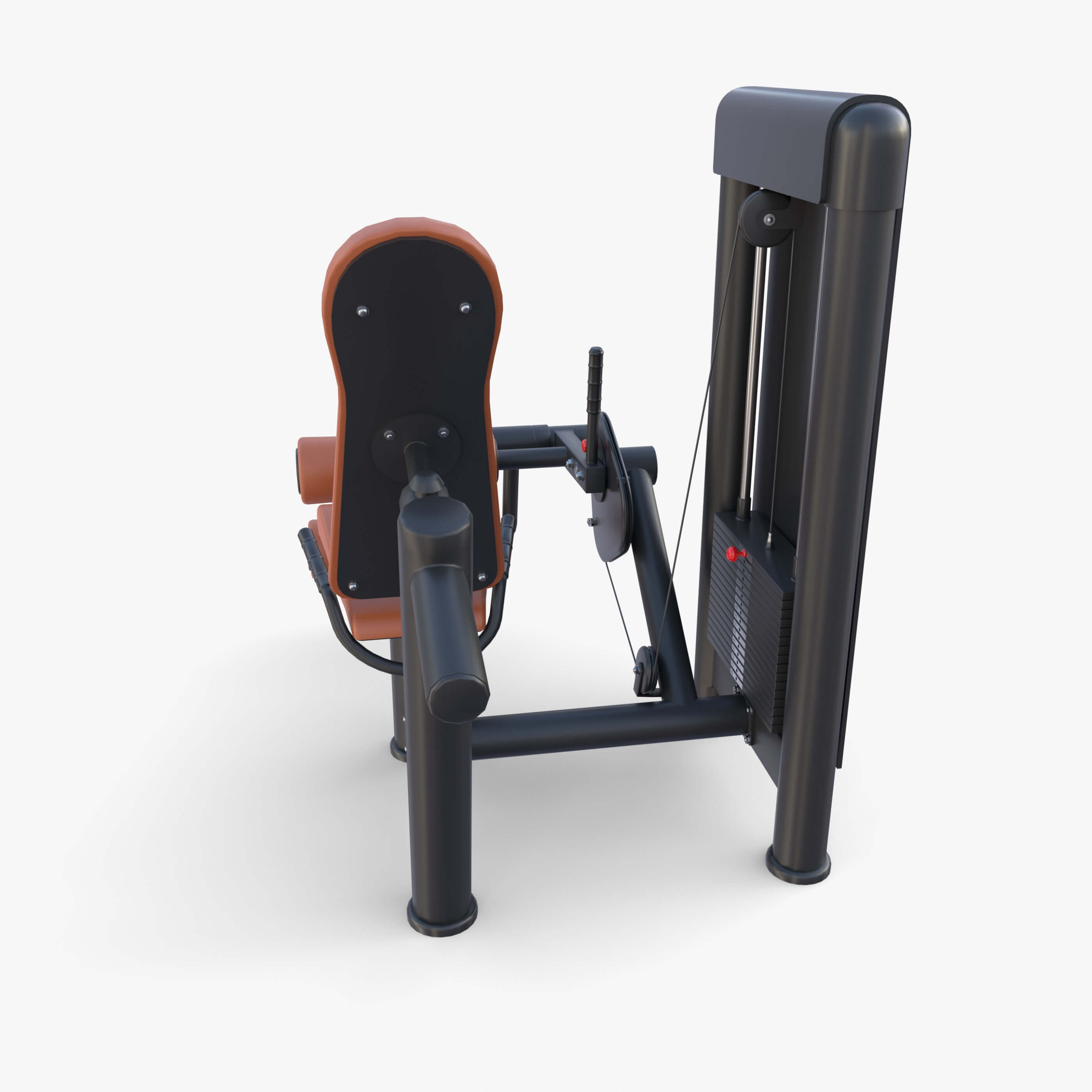 Leg Curling Machine - 3D Model by dragosburian