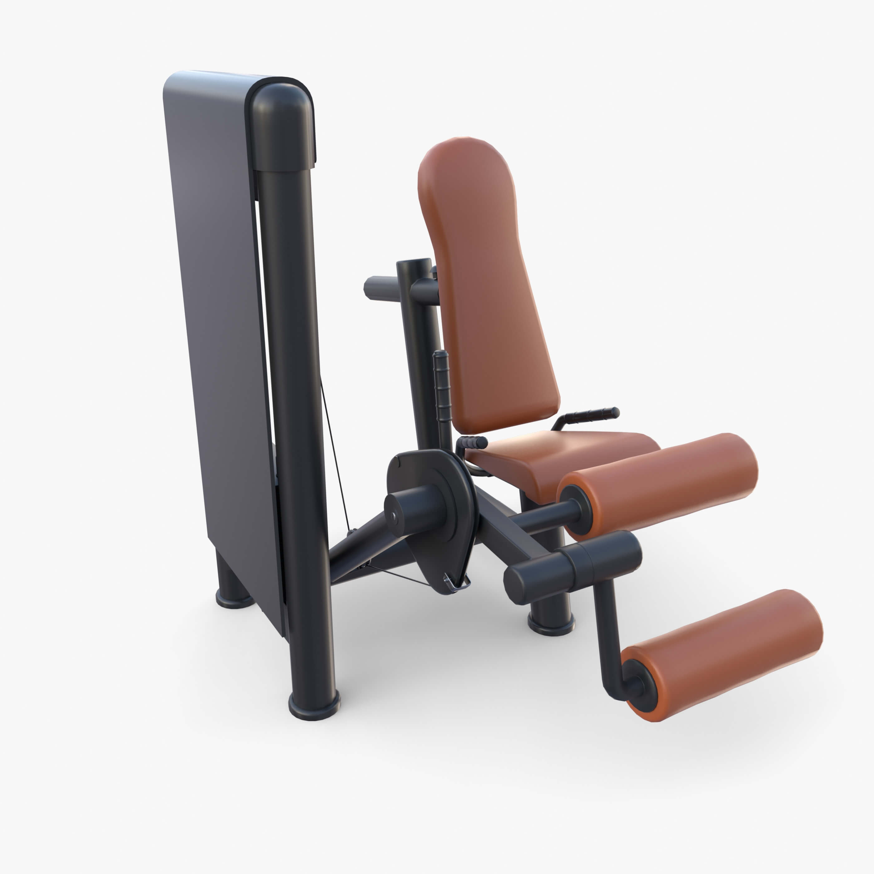 Leg Curling Machine - 3D Model by dragosburian