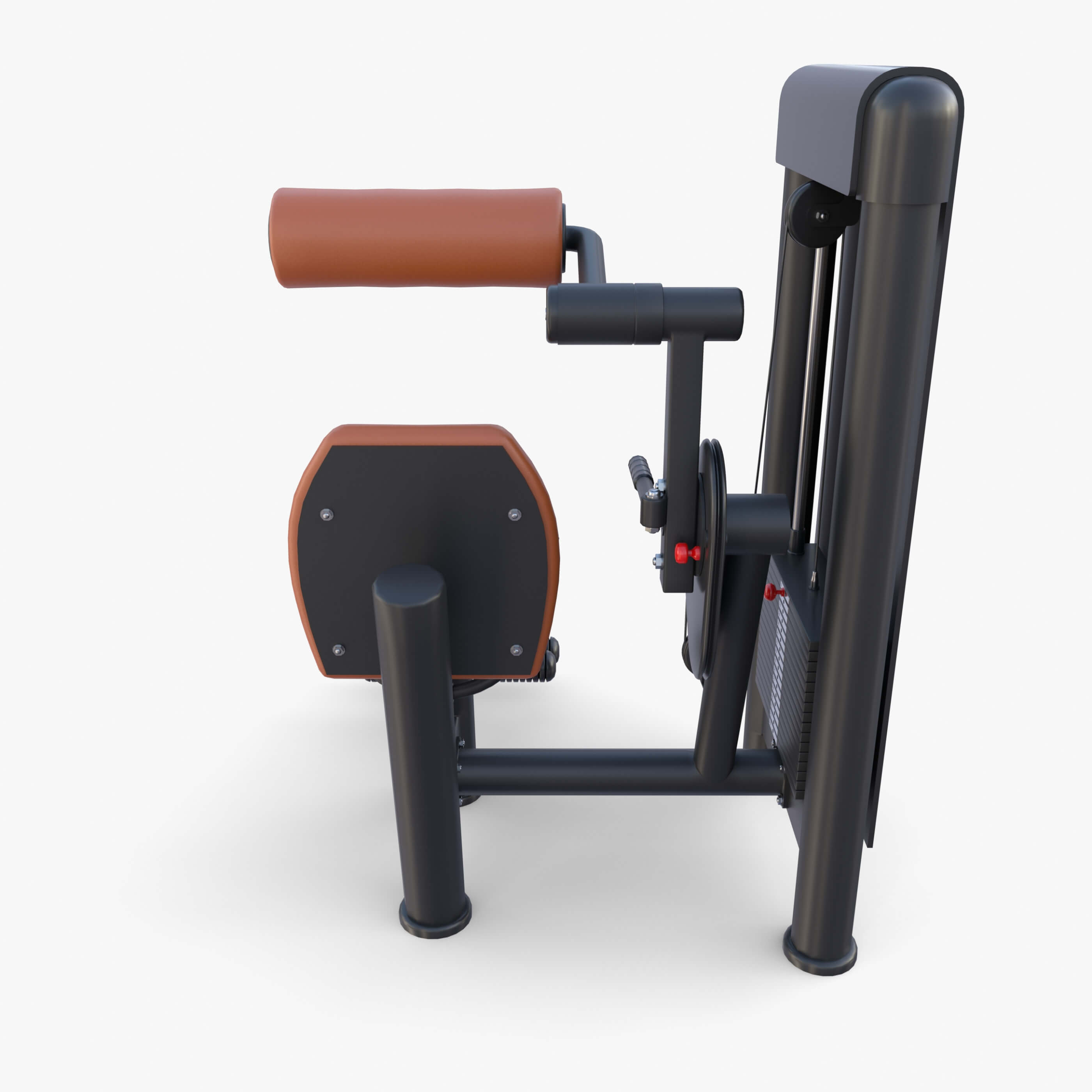 Lower Back Machine - 3D Model by dragosburian