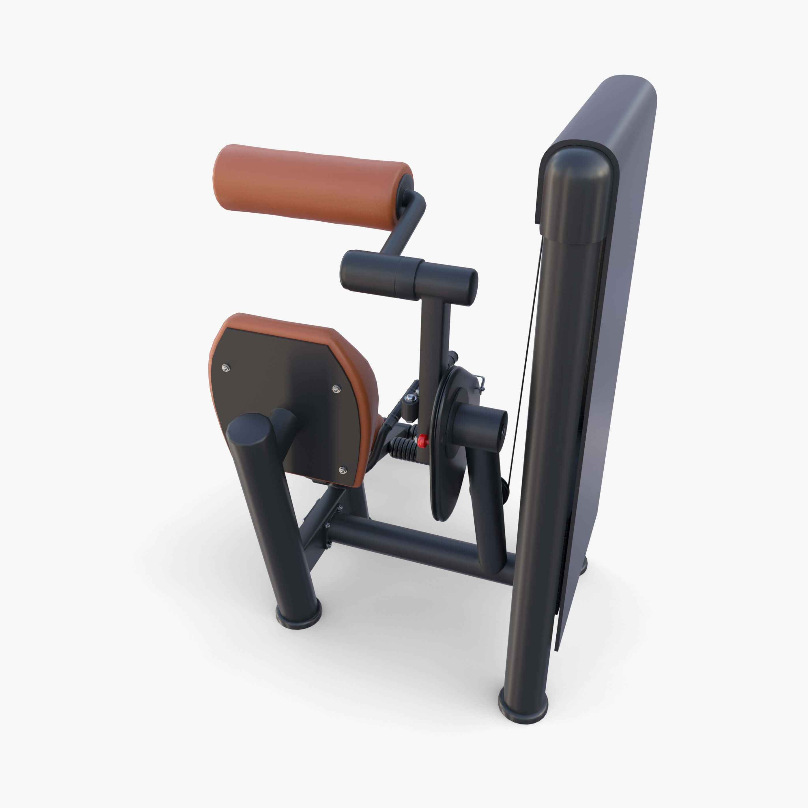 Lower Back Machine - 3D Model by dragosburian