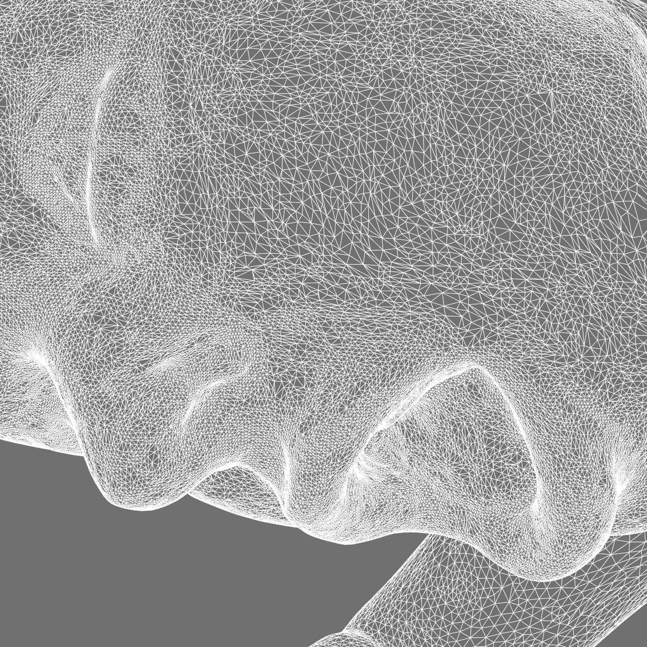 Hot Girls HD Scans - Payton 140 - DAZ Studio by Dreamlight