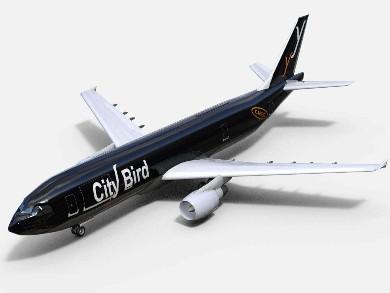 Airbus A300 City Bird - 3D Model by Dreamscape Studios