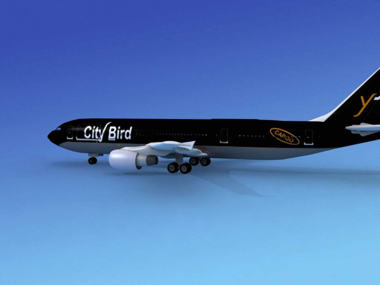 Airbus A300 City Bird - 3D Model by Dreamscape Studios