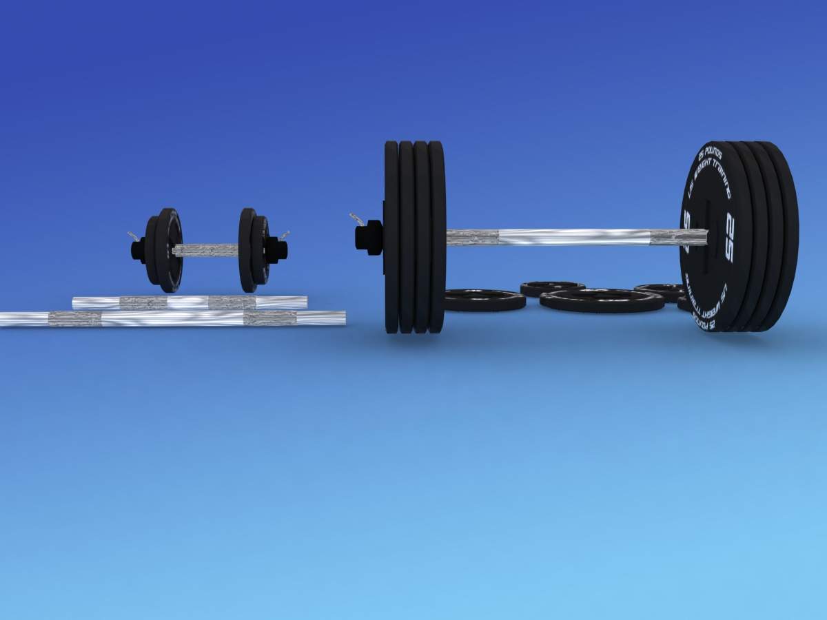 Bar Bells - 3D Model by Dreamscape Studios