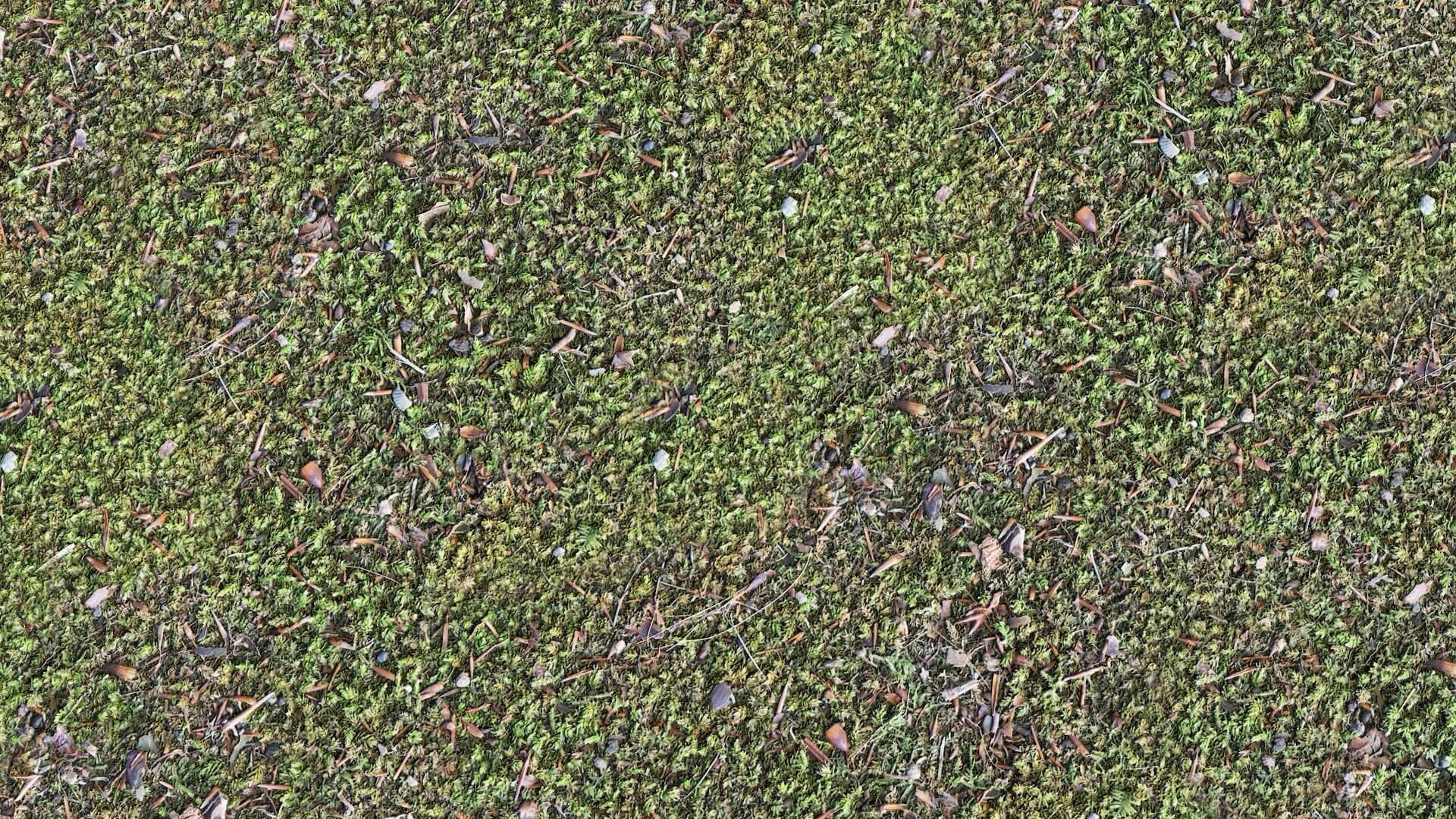 Forest Terrain Ground PBR Texture by Eagle Soft