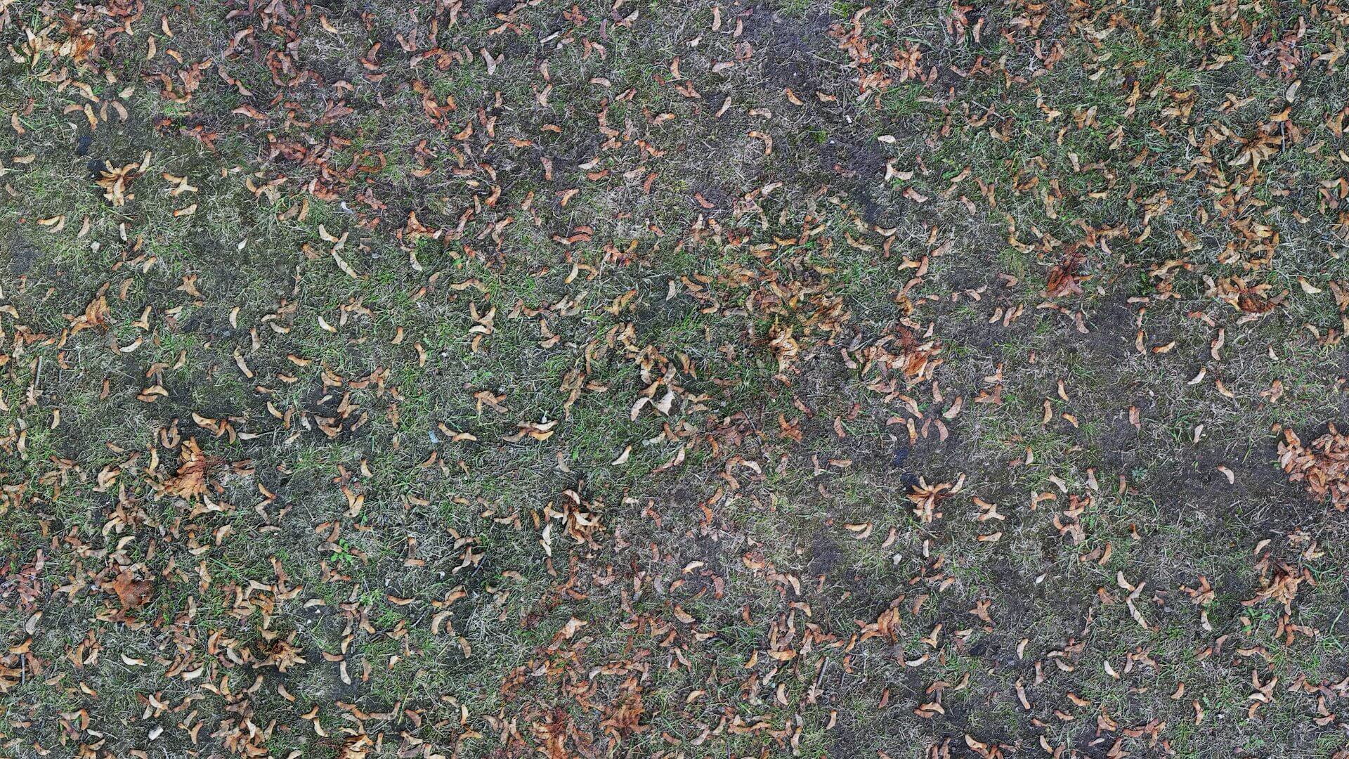 Forest Ground PBR Texture by Eagle Soft