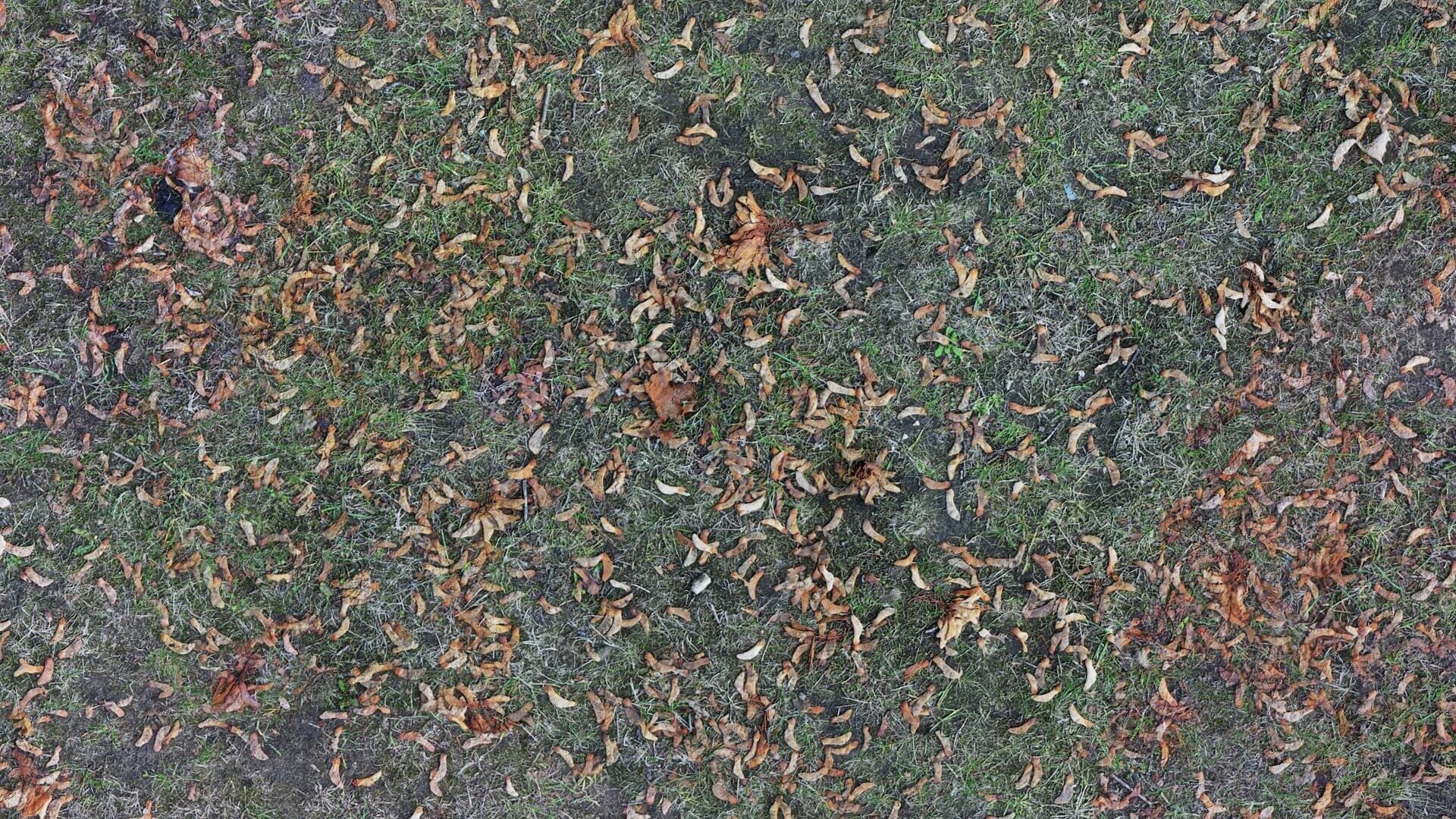 Forest Ground PBR Texture by Eagle Soft