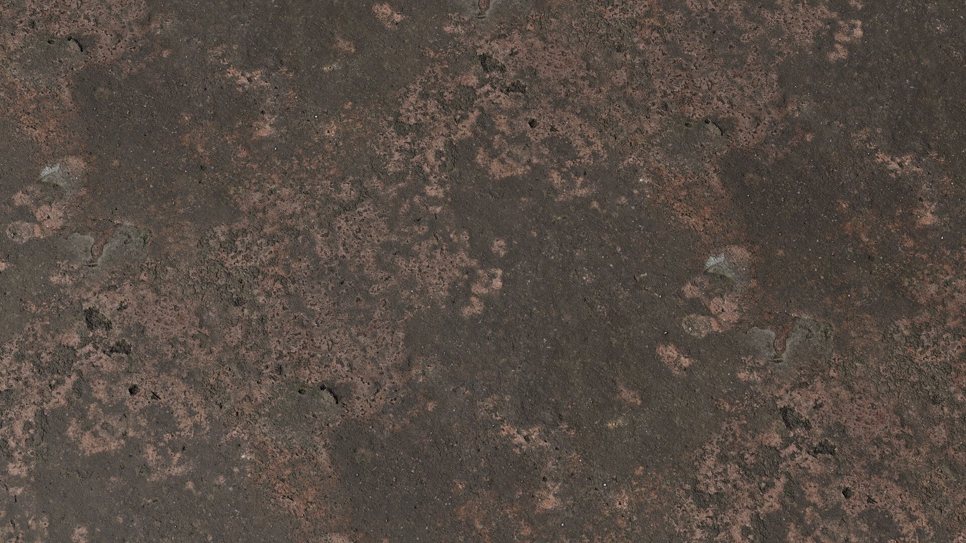 Mossy Ground PBR Texture by Eagle Soft