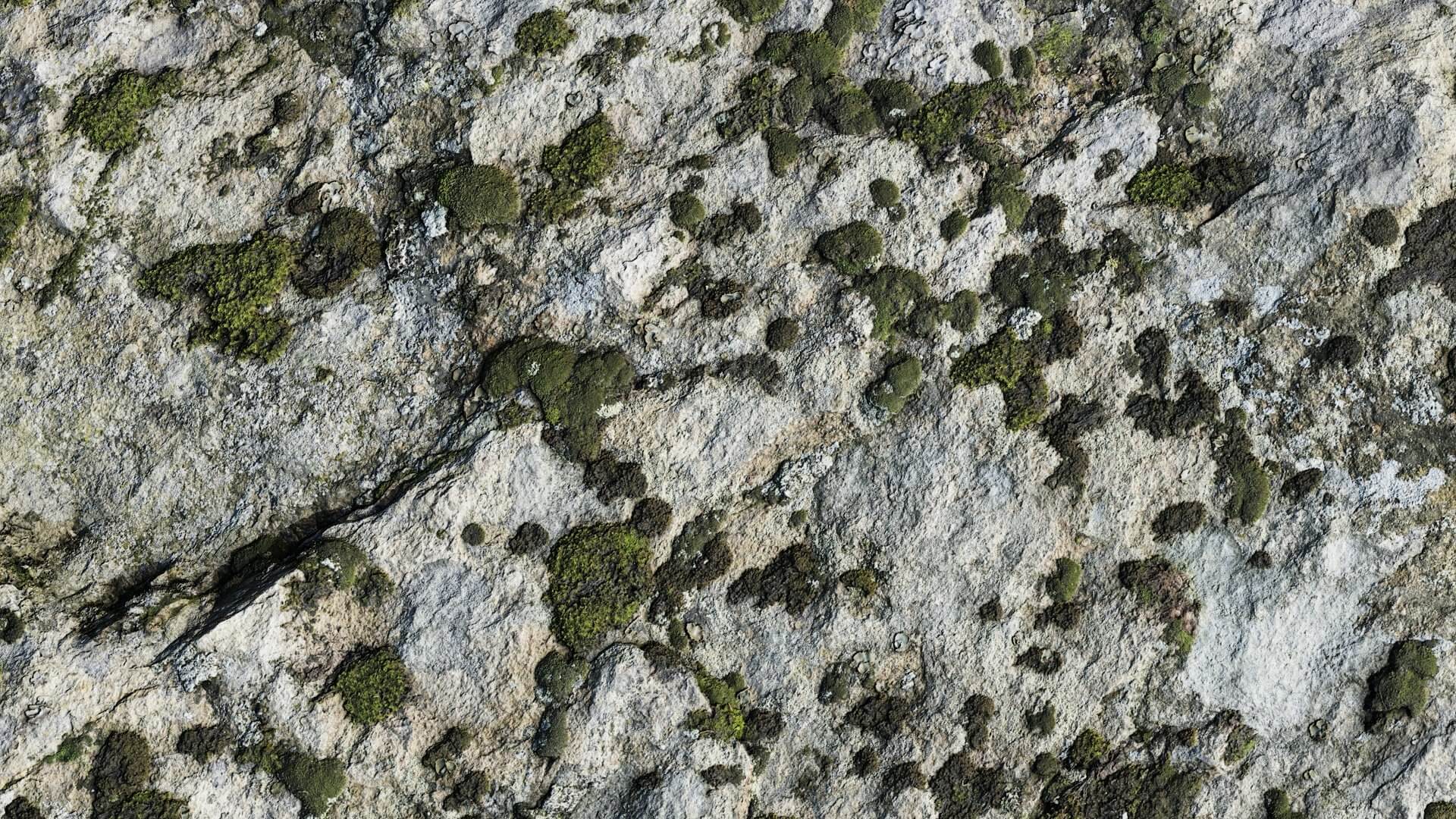 Mountain Mossy Rock PBR Texture by Eagle Soft