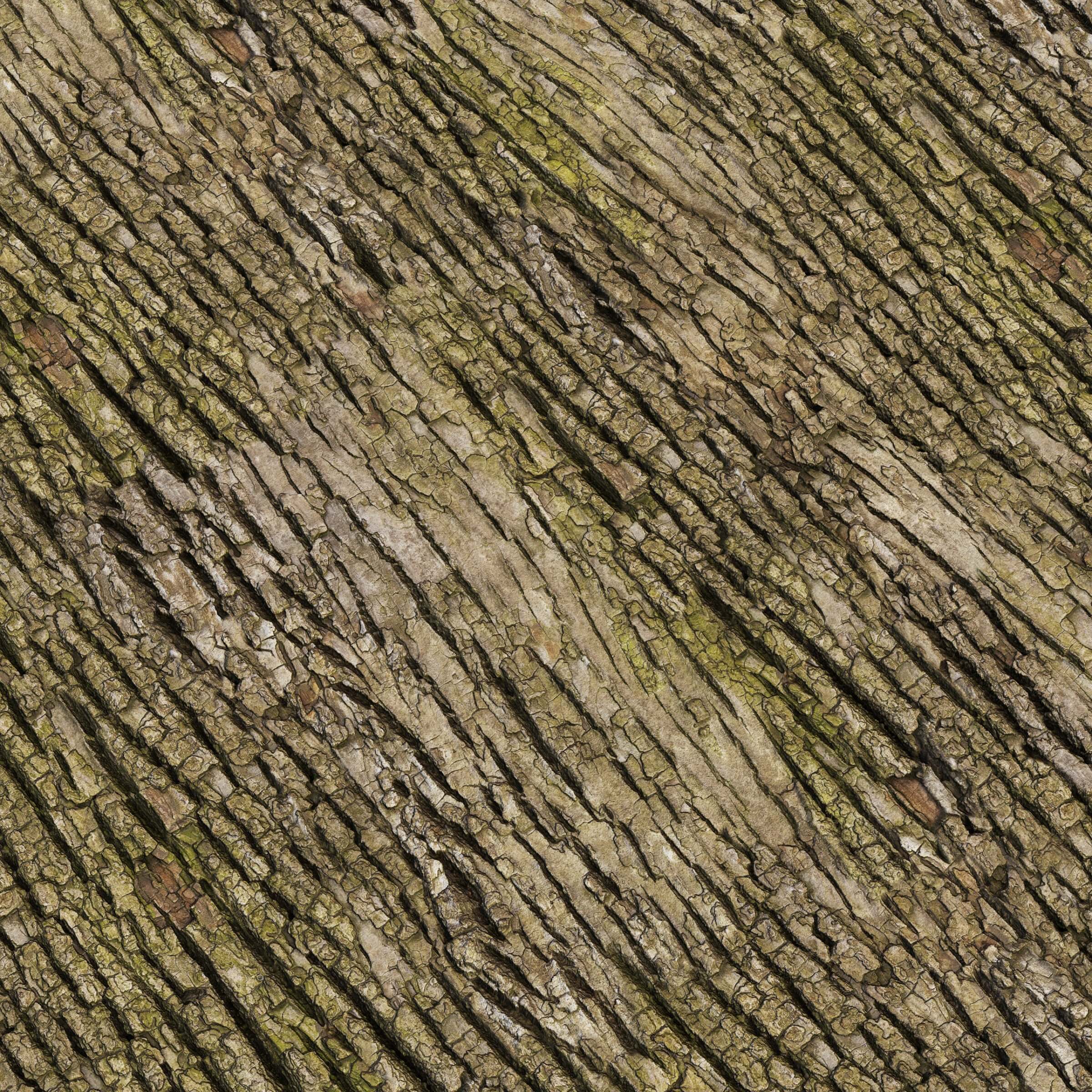 Tree Bark - 3D Texture by Eagle Soft