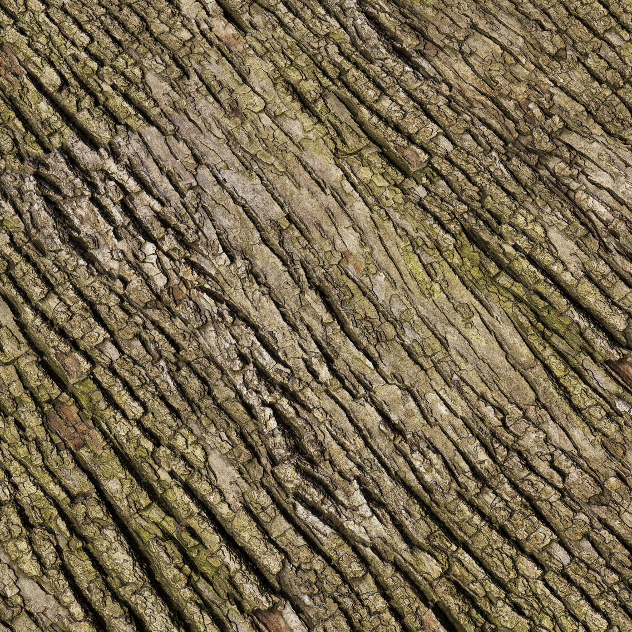 Tree Bark - 3D Texture by Eagle Soft