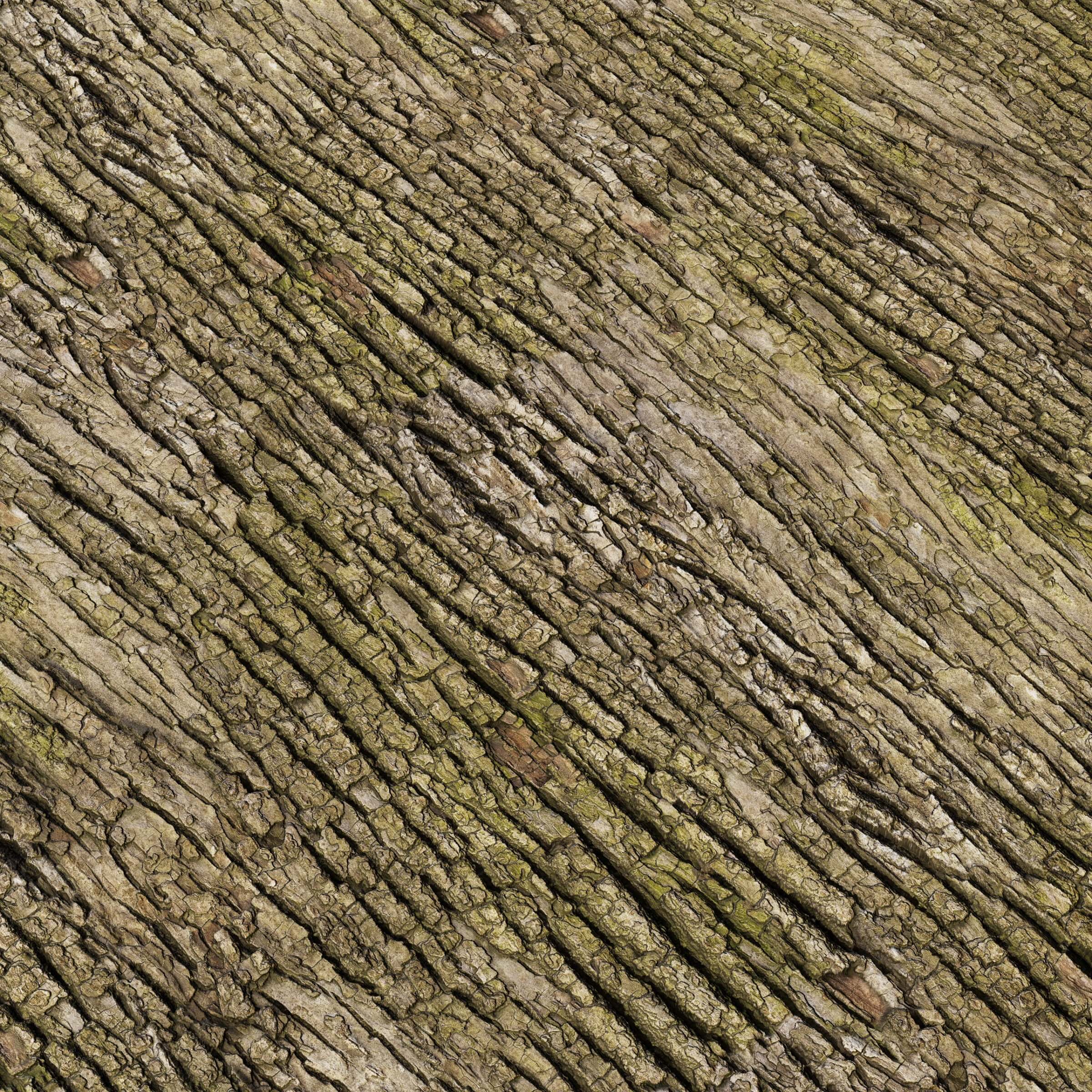 Tree Bark - 3D Texture by Eagle Soft