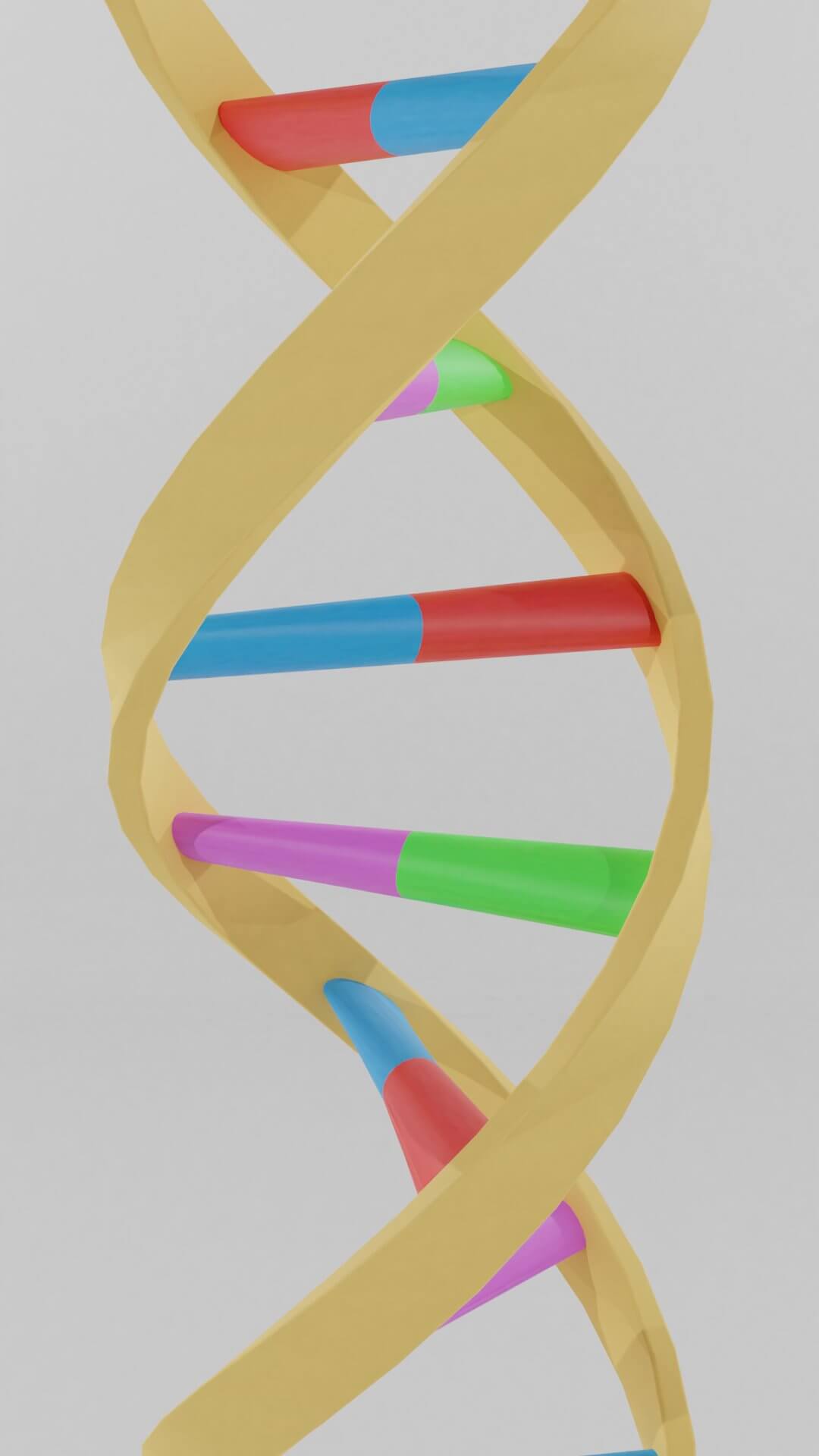 Dna Double Helix 3d Model