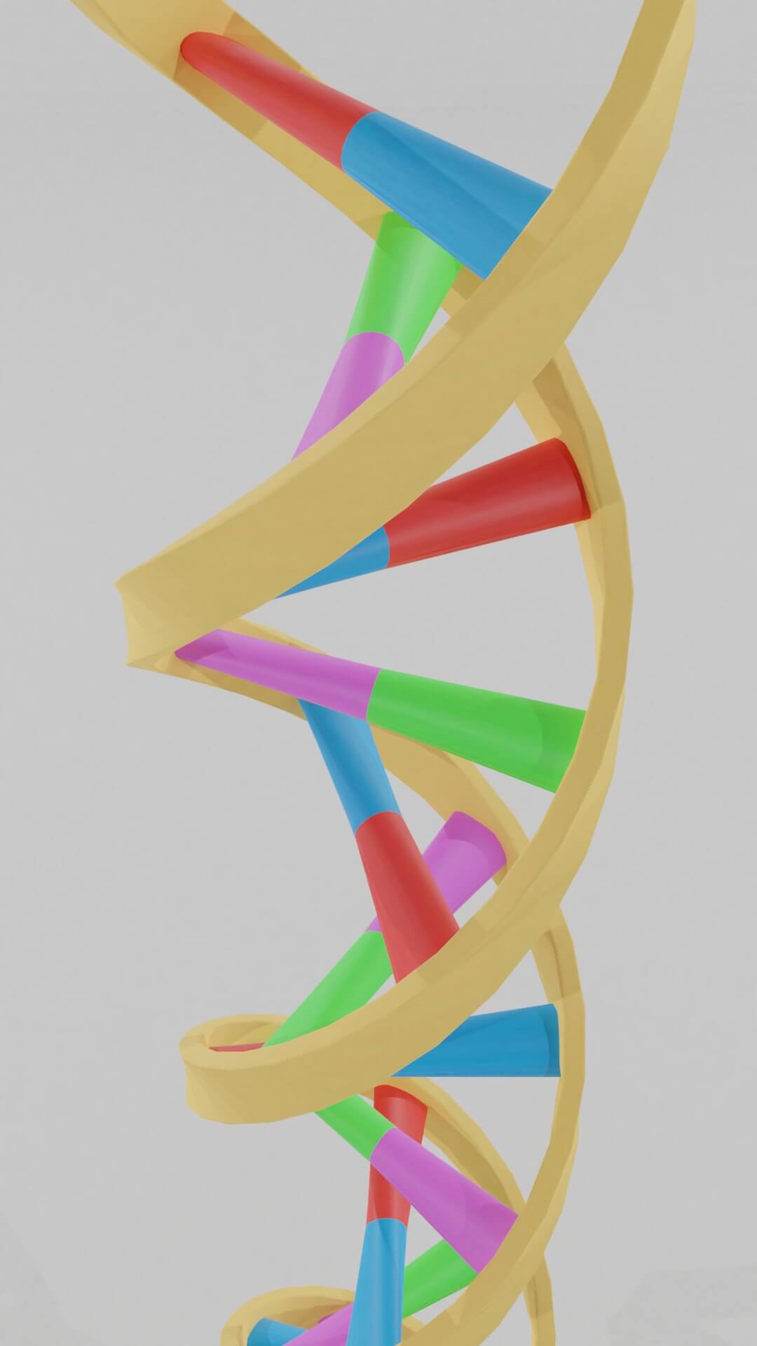 DNA Double Helix - Free 3D Model by Edwin polanco