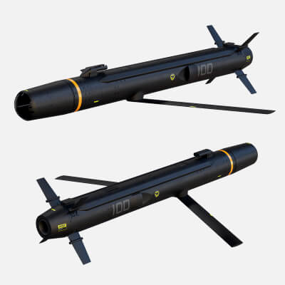 Barracuda M-100 Cruise Missile 3D Model by EFC