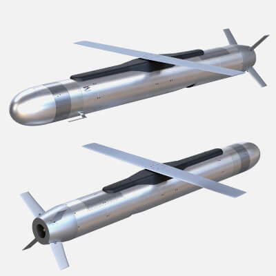 Black Arrow Small Cruise Missile (SCM) - 3D Model by EFC