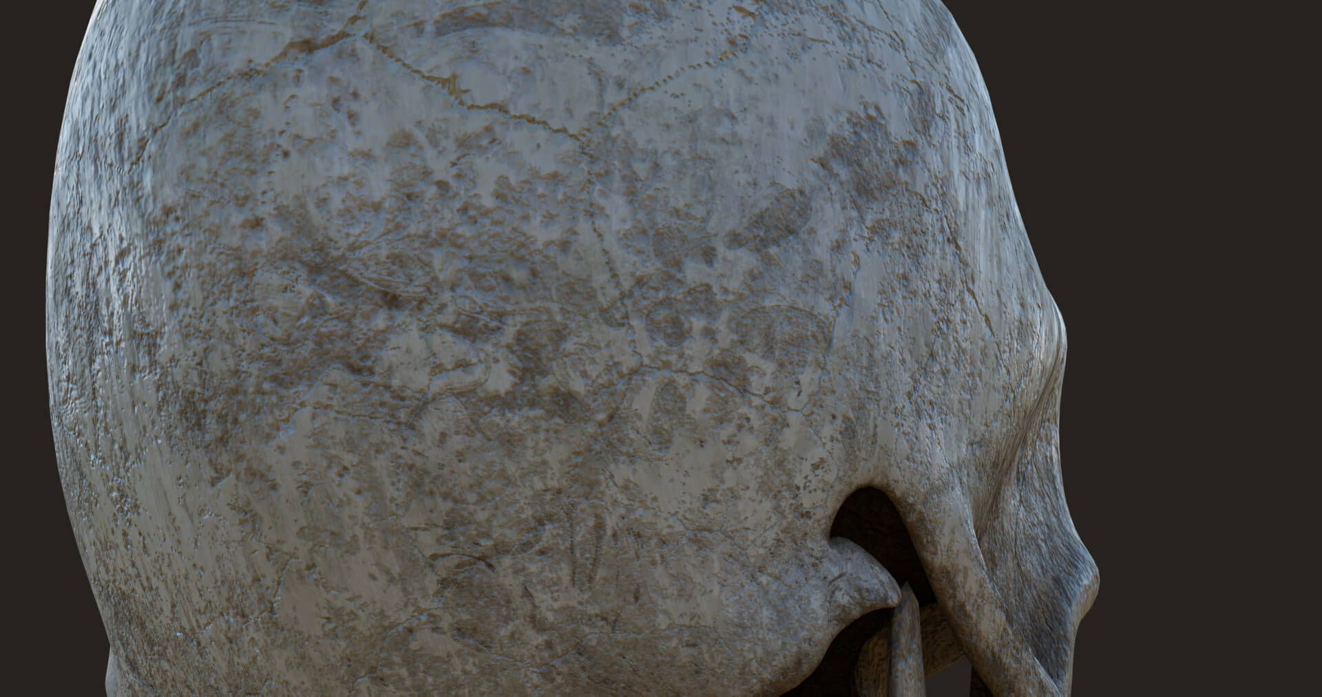 Crack Skull PBR - 3D Model by Eight Vertex