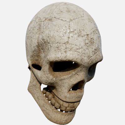 Crack Skull PBR - 3D Model by Eight Vertex