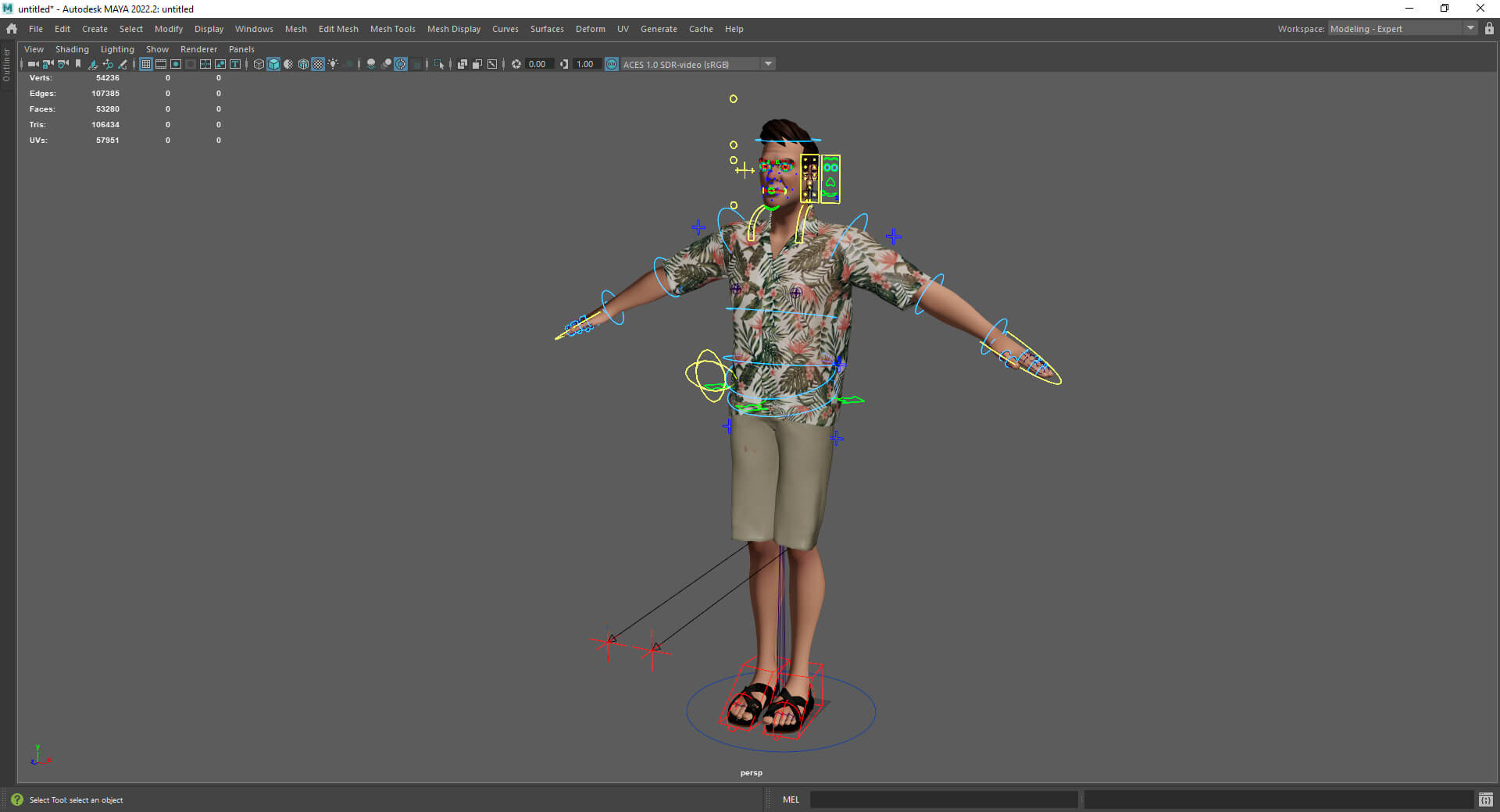 Stylized Hawaiian Male Character - 3D Model by Elegant Mesh 3D