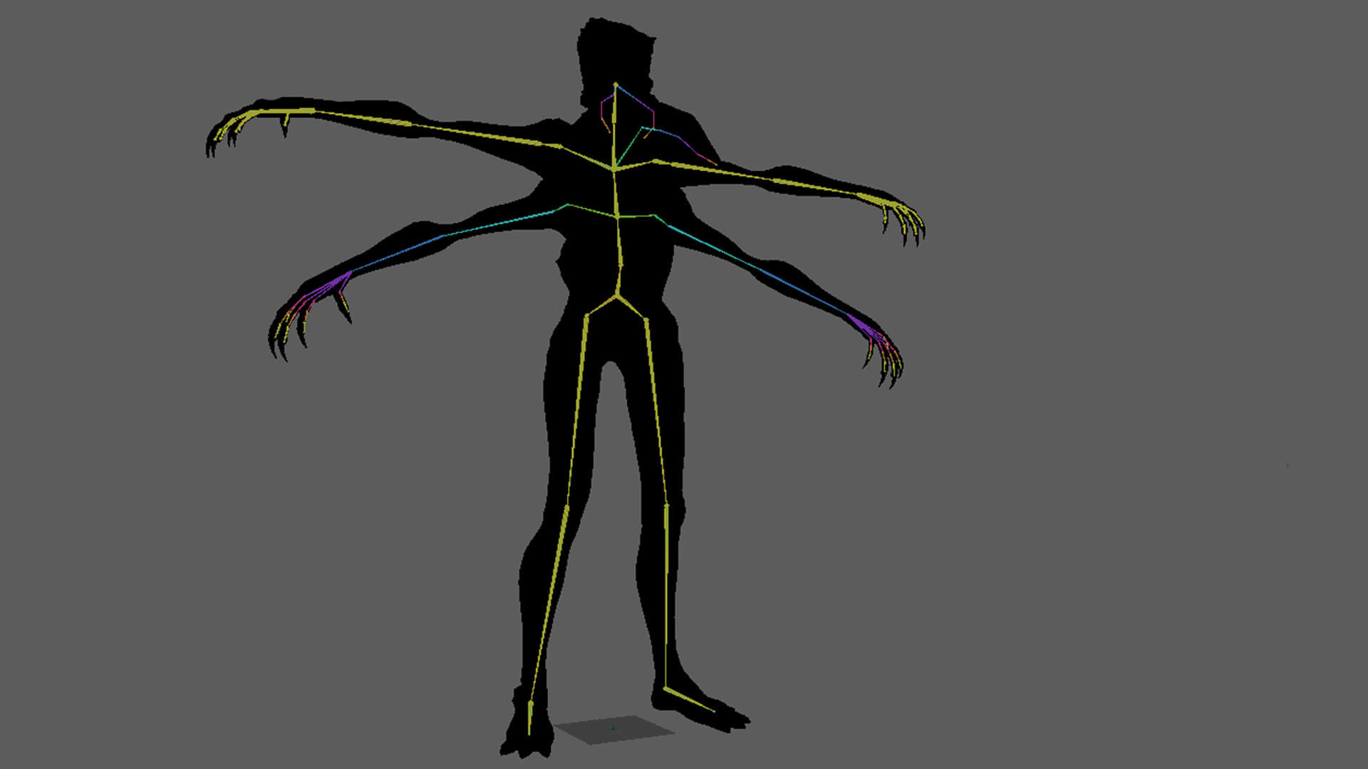 Spider Mutant - 3D Model by Elion3D