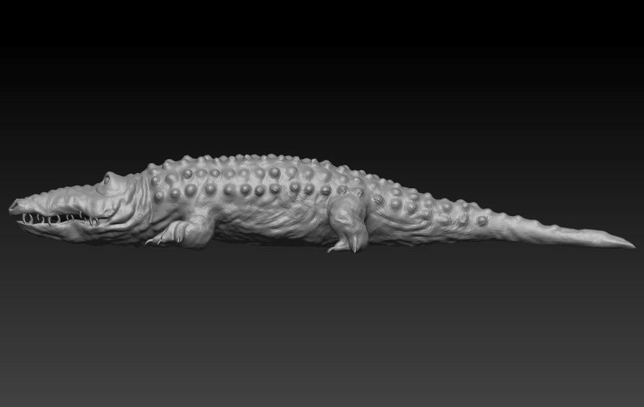 Alligator - 3D Model by elitemodelry