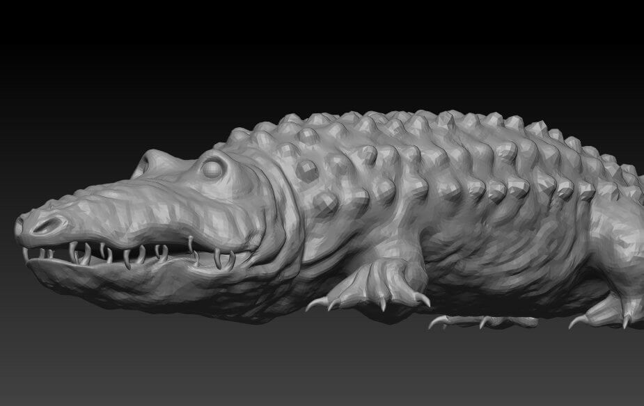 Alligator - 3D Model by elitemodelry