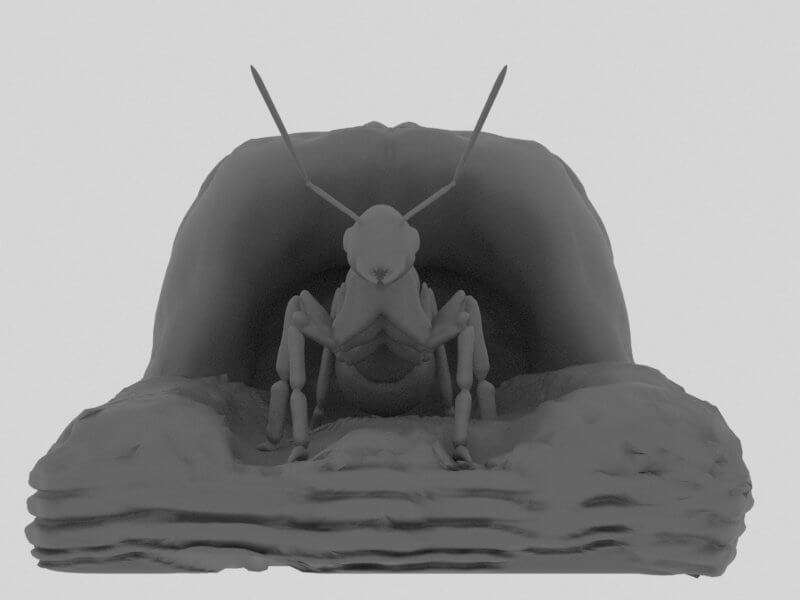 Ant - 3D Model by elitemodelry