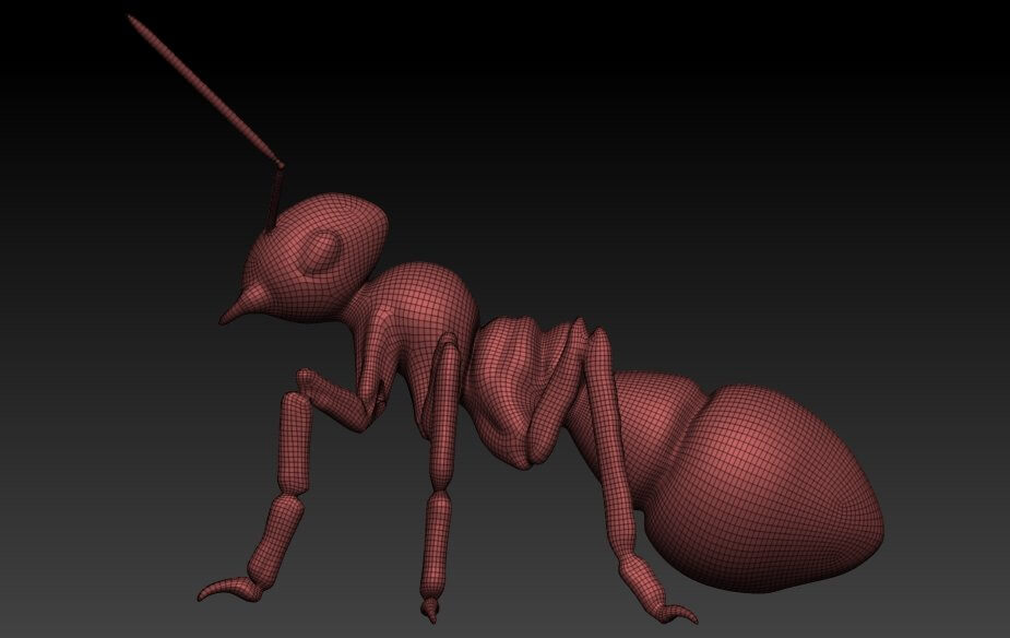 Ant - 3D Model by elitemodelry