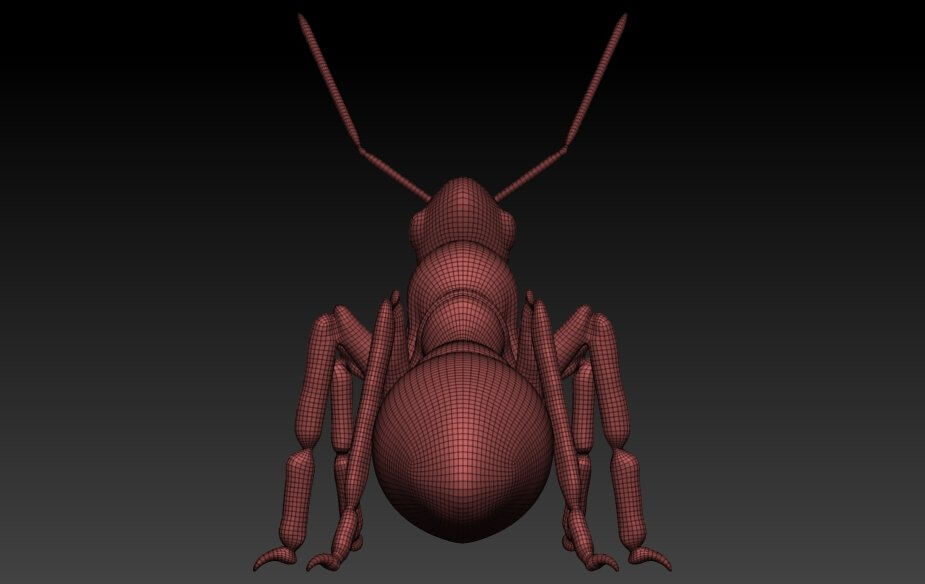 Ant - 3D Model by elitemodelry