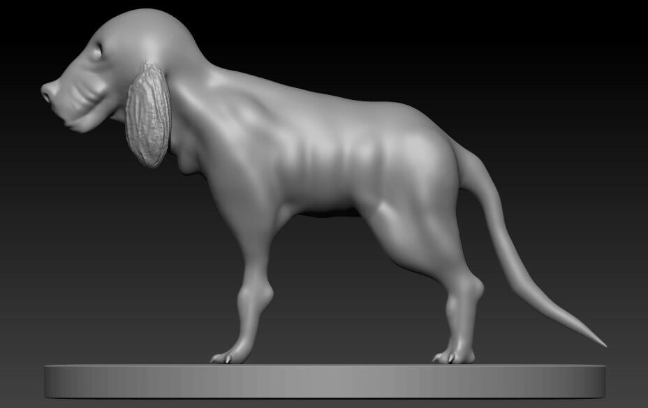 Beagle - 3D Model by elitemodelry