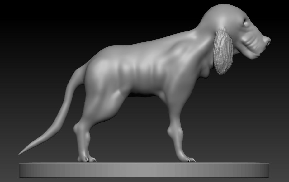 Beagle - 3D Model by elitemodelry