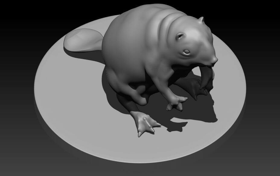 Beaver - 3D Model by elitemodelry