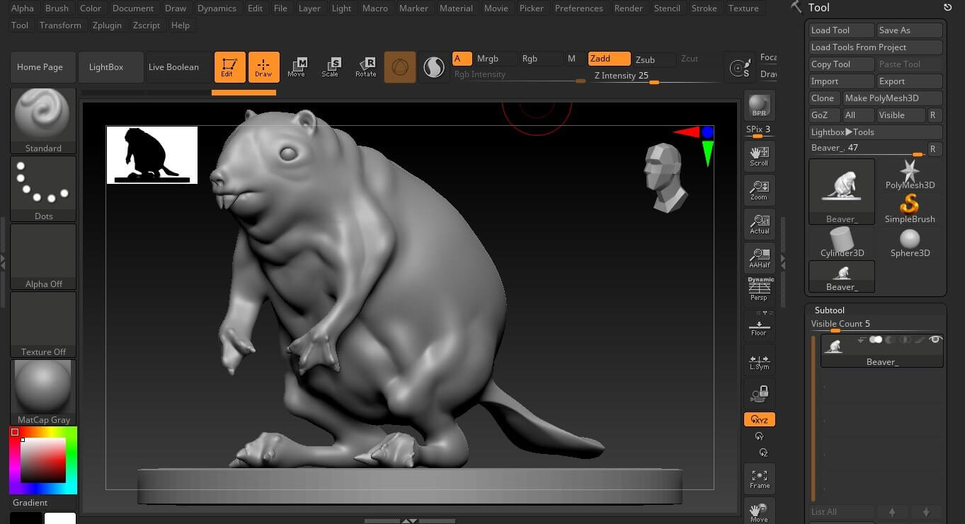 Beaver - 3D Model by elitemodelry