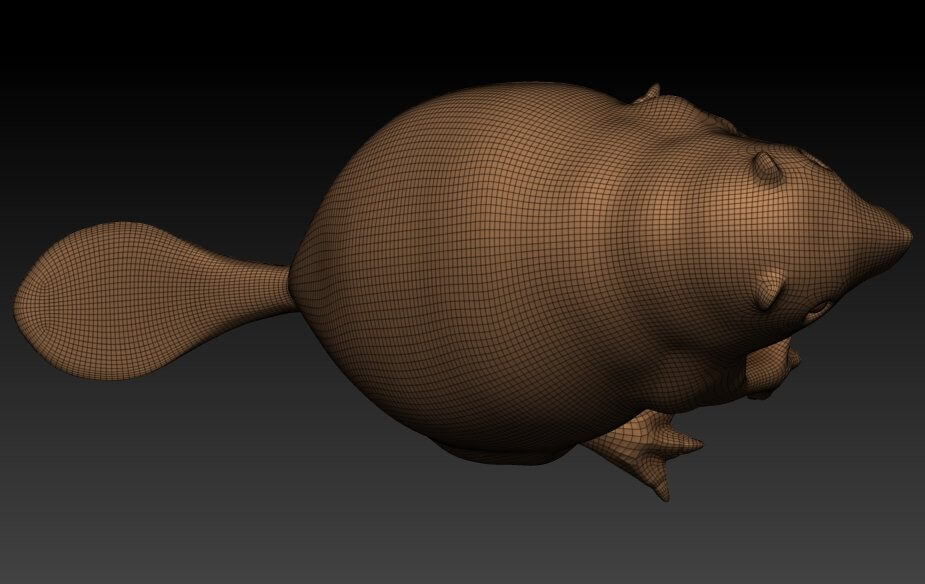 Beaver - 3D Model by elitemodelry