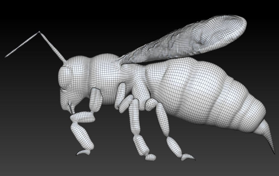 Bee - 3D Model by elitemodelry