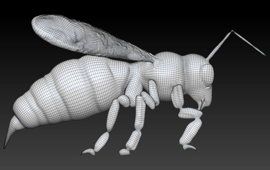 Bee - 3D Model by elitemodelry