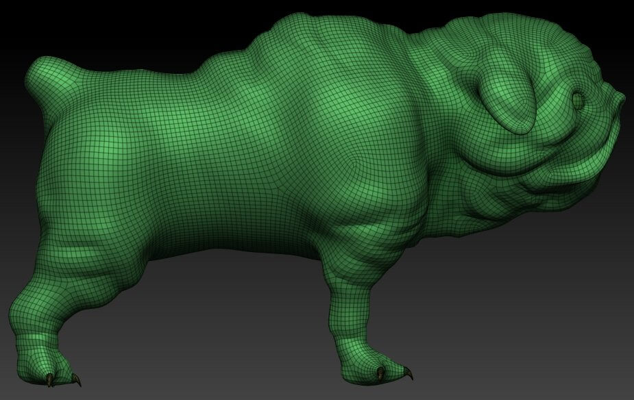 Bulldog - 3D Model by elitemodelry