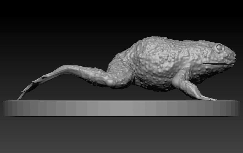 Bullfrog - 3D Model by elitemodelry