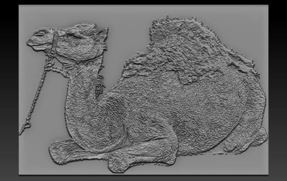 Camel Relief - 3D Model by elitemodelry