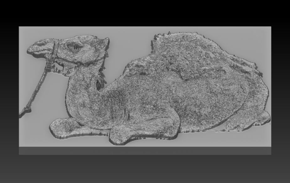 Camel Relief - 3D Model by elitemodelry