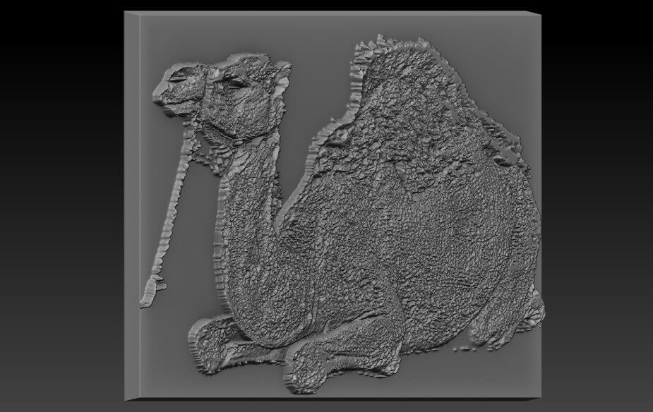 Camel Relief - 3D Model by elitemodelry