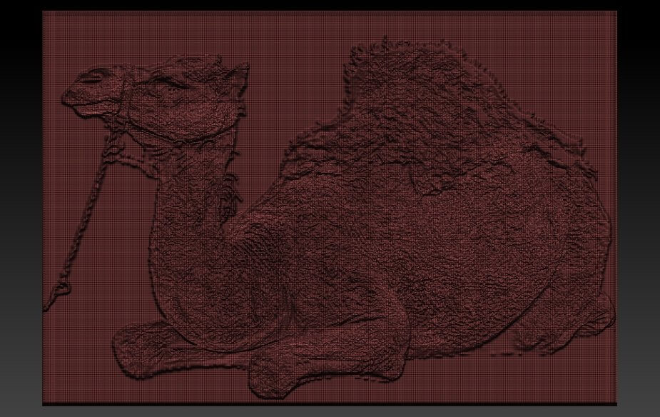 Camel Relief - 3D Model by elitemodelry