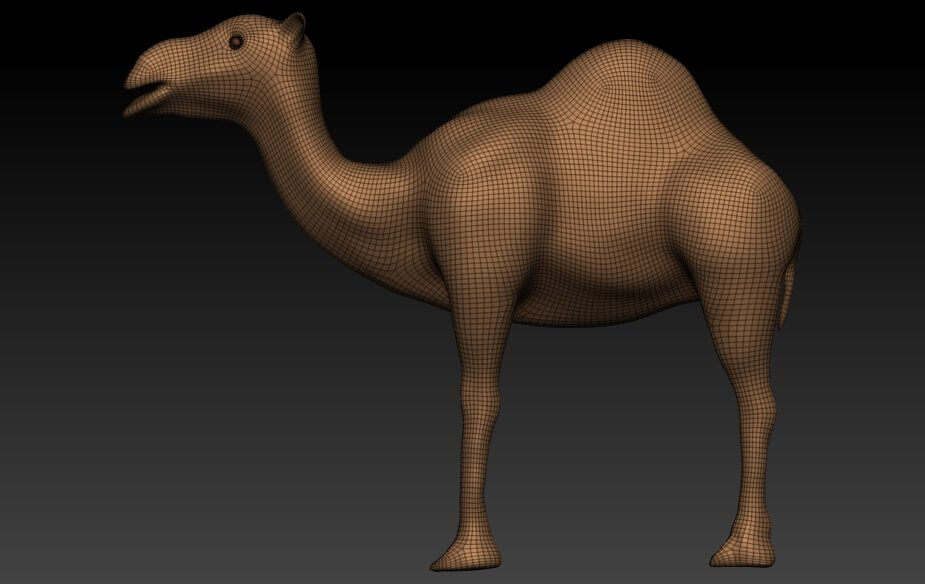 Camel - 3D Model by elitemodelry