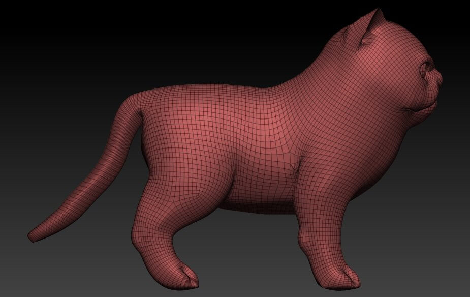 Cat - 3D Model by elitemodelry